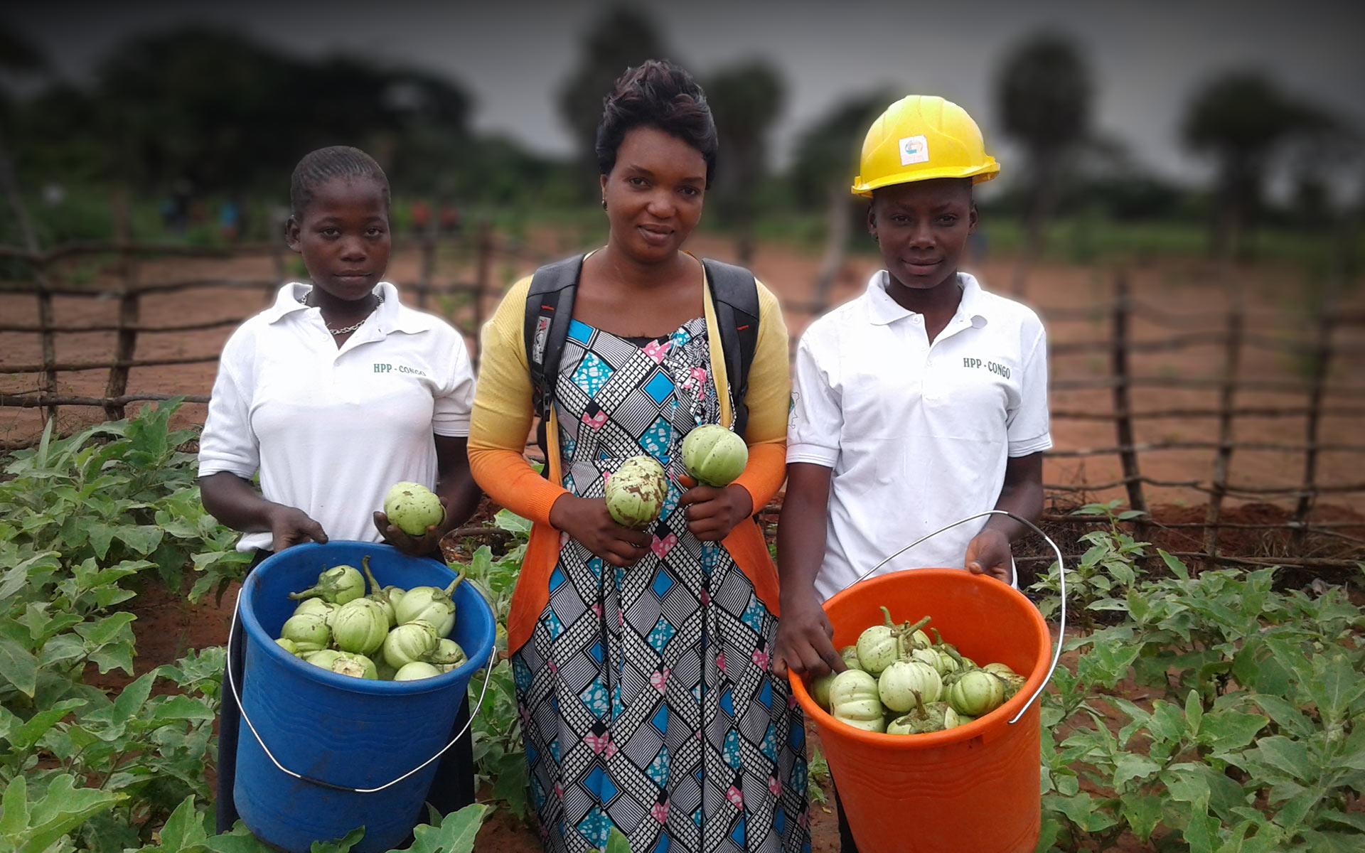 Qui sommes-nous | HPP-Congo